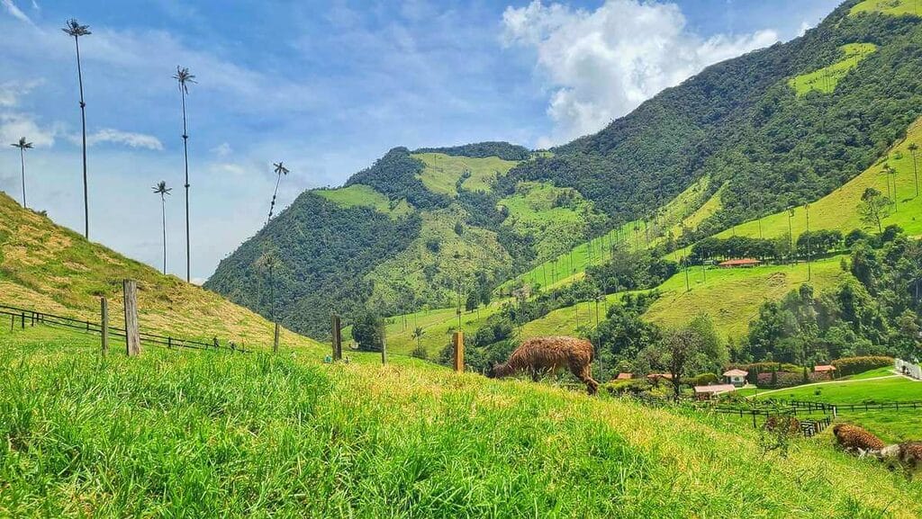 Unforgettable Journey: Top 10 Must-See Attractions and Things to Do in ...